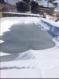 Marblehead house with pool AND skating rink - Oliver Reports Massachusetts
